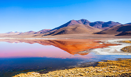 Bolivia Tourist Profile